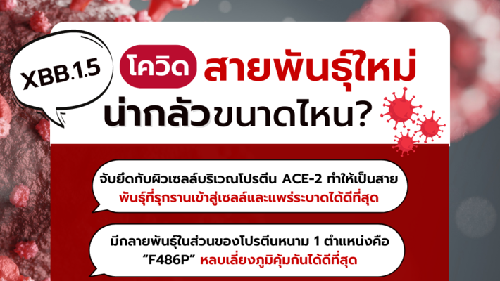 โควิดสายพันธุ์ใหม่ XBB.1.5 น่ากลัวขนาดไหน? | โรงพยาบาลพิษณุโลก ฮอสพิทอล | โทร : 055 909 888